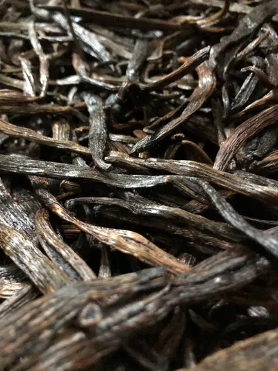 EXTRACTION GRADE PODS – BorBon